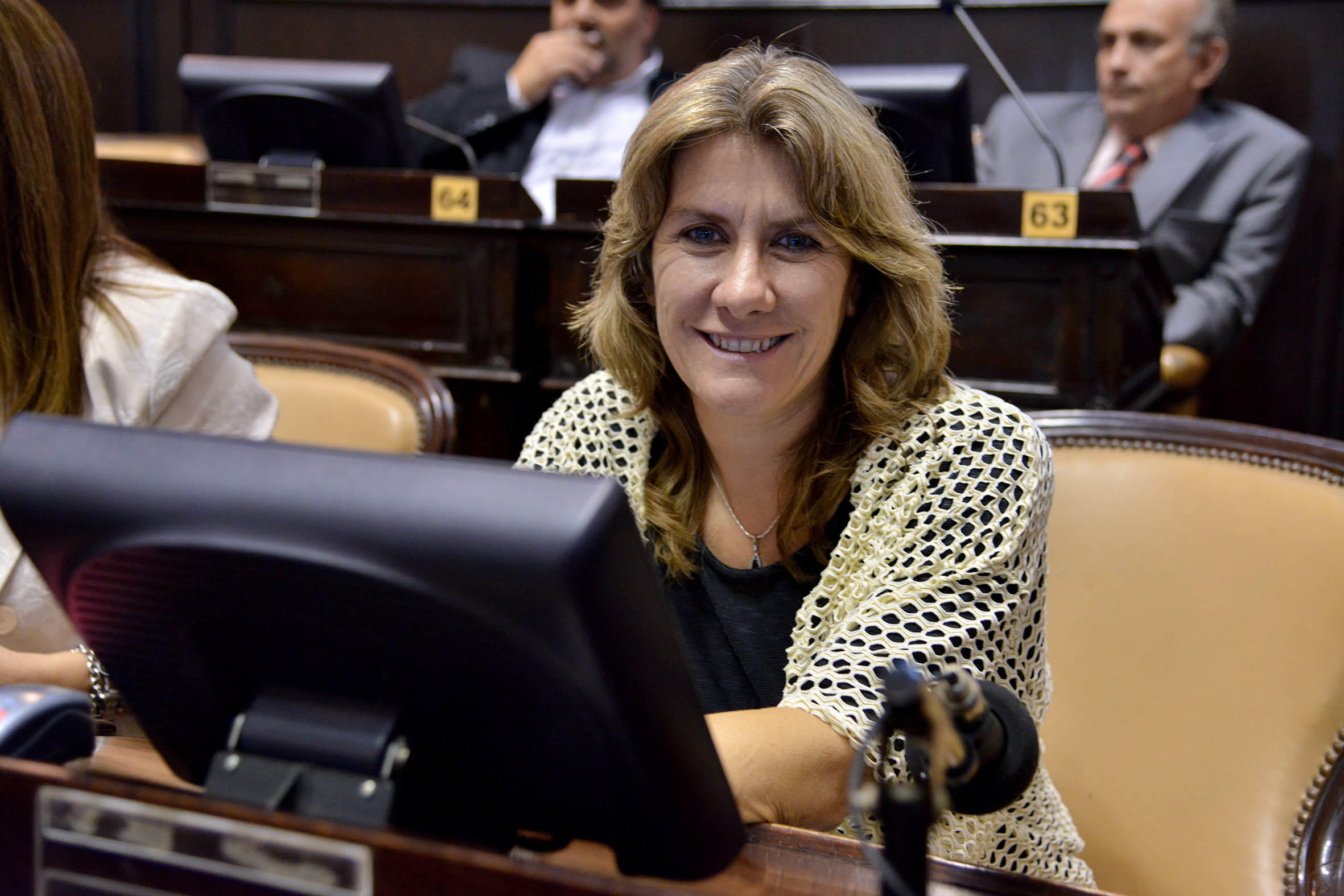 La Legislatura bonaerense analiza crear el Colegio de Licenciados en ...